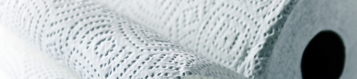 Papergrade pulp | Global Cellulose Fibers