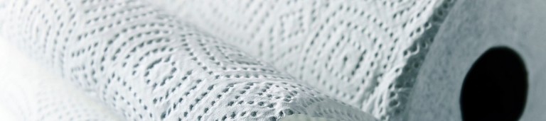 Papergrade pulp | Global Cellulose Fibers